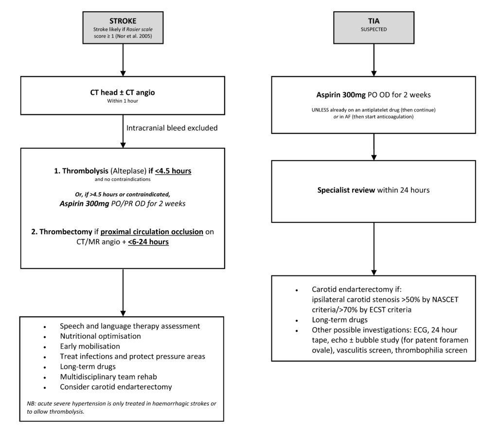 Stroke and TIA management | OSCEstop | OSCE Learning